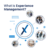 What Is Experience Management: A Primer On Experience Management And ...